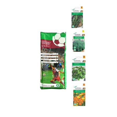 Pachet Biodiversitate GAZON JAPONEZ 1KG, Cimbru 1g, Coriandru 2g ...