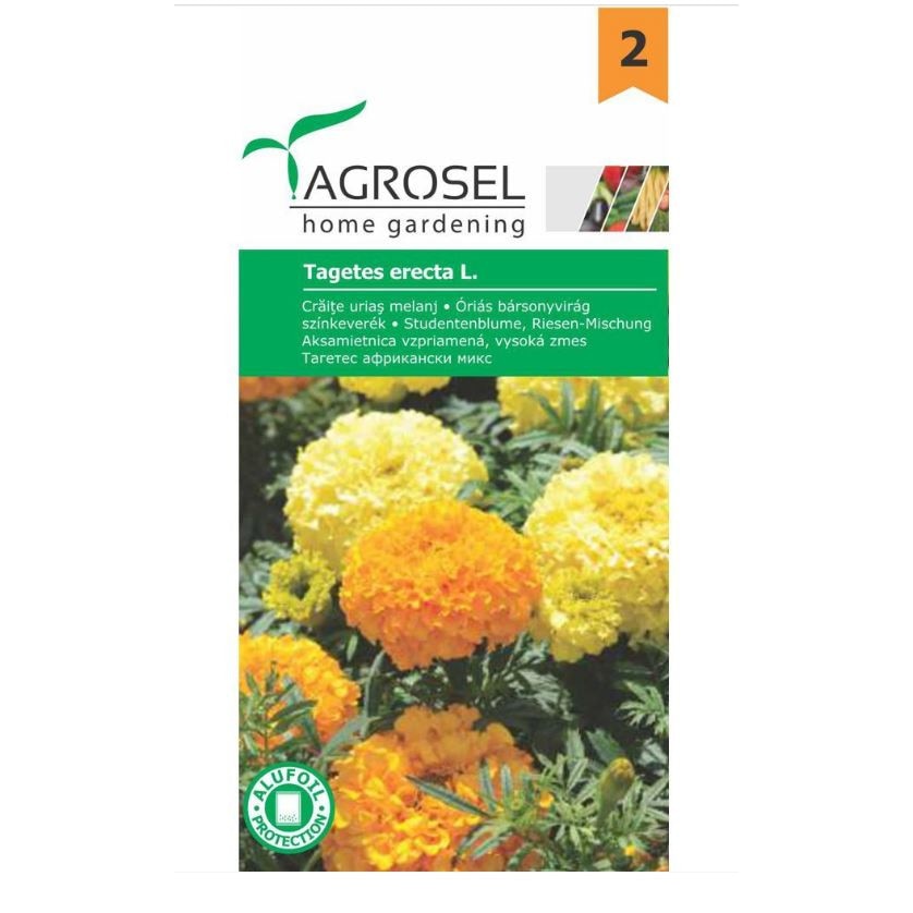 Pachet Biodiversitate Gazon Rustic 1kg, Busuioc 1g, Cimbrisor 0.5g ...