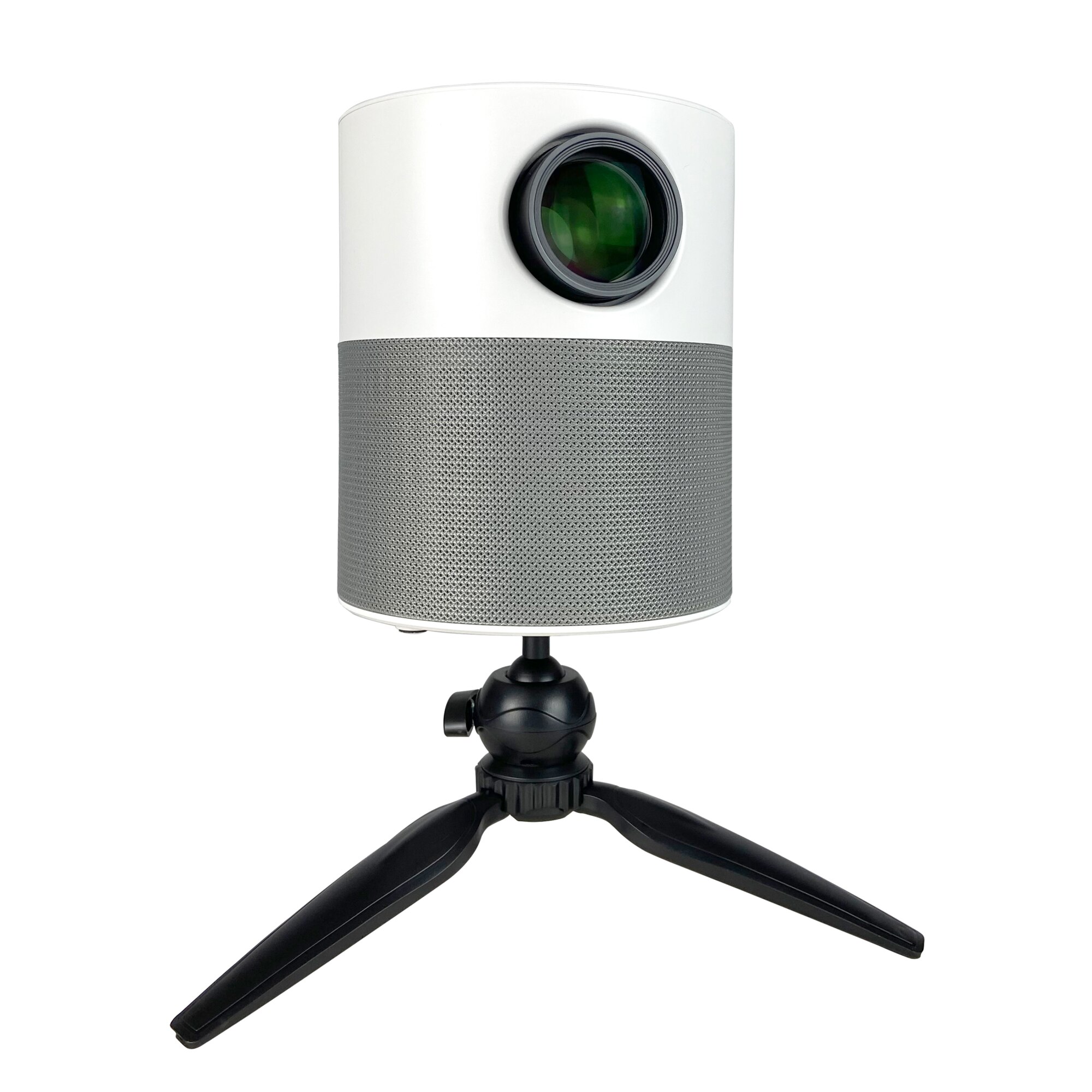 Проектор picturePRO AN303, Преносим, FULL HD, С чанта за транспортиране ...