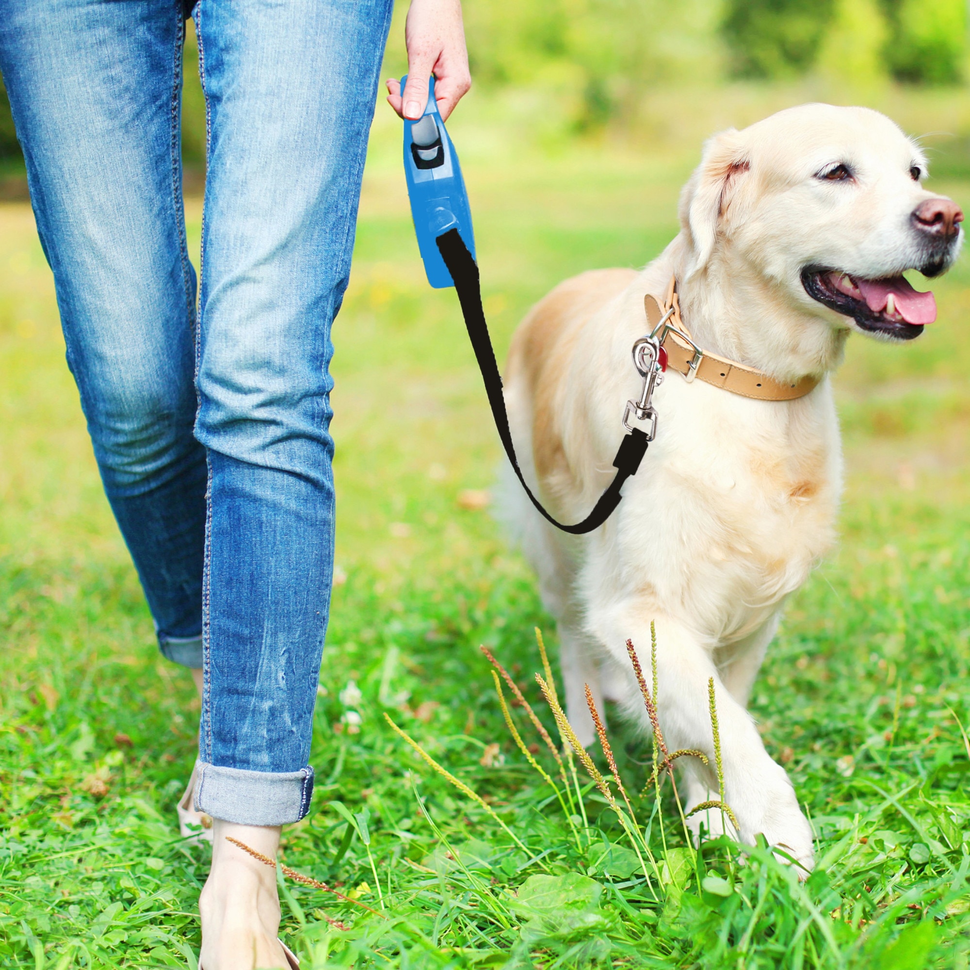 Lesa Automata Retractabila De 5m Pentru Caine Mic Sau Mijlociu, Max ...