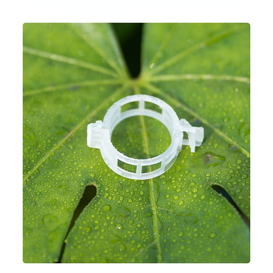 Set 40 clipsuri pentru plante, Plastic, Transparent - eMAG.ro