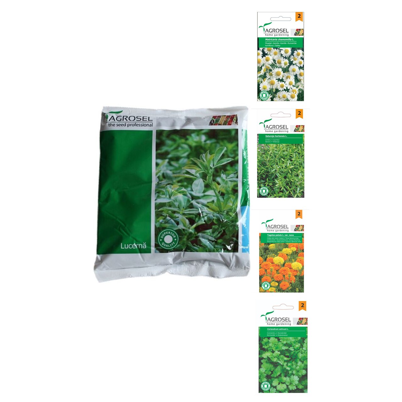 Pachet Biodiversitate Lucerna 1kg, Musetel 2g, Craite pitic 1g, Cimbru ...