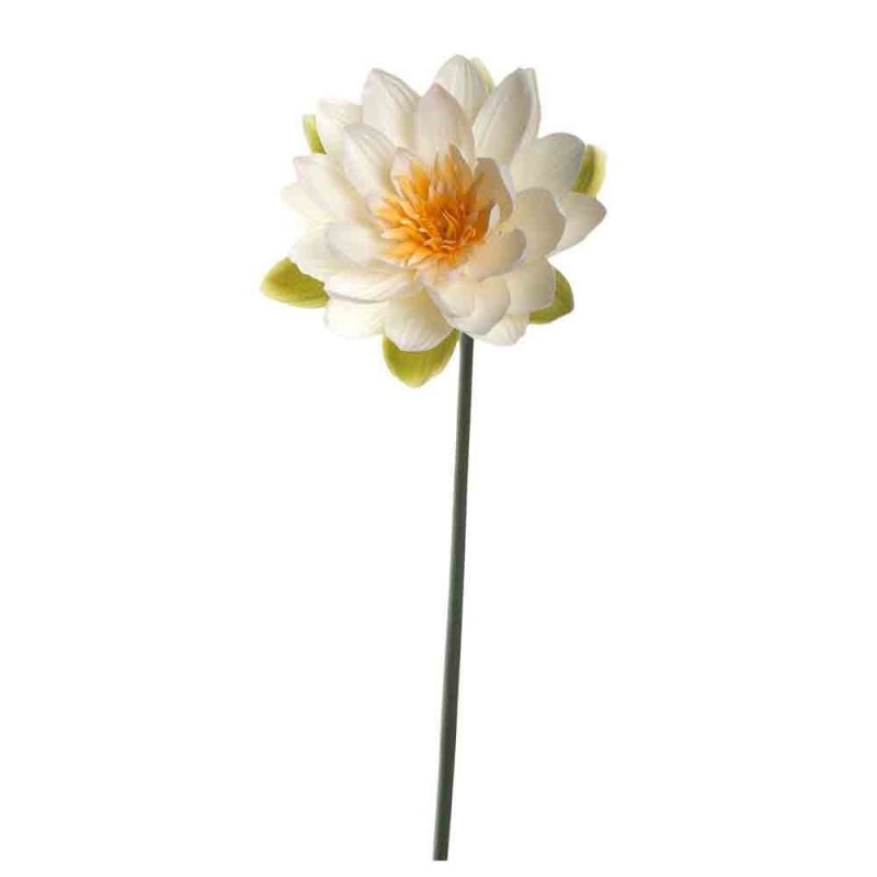 Set 75 flori de nufar, Alb/Verde - eMAG.ro