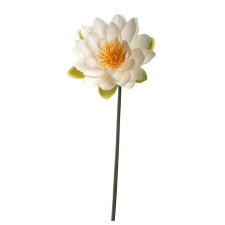 Set 75 flori de nufar, Alb/Verde - eMAG.ro