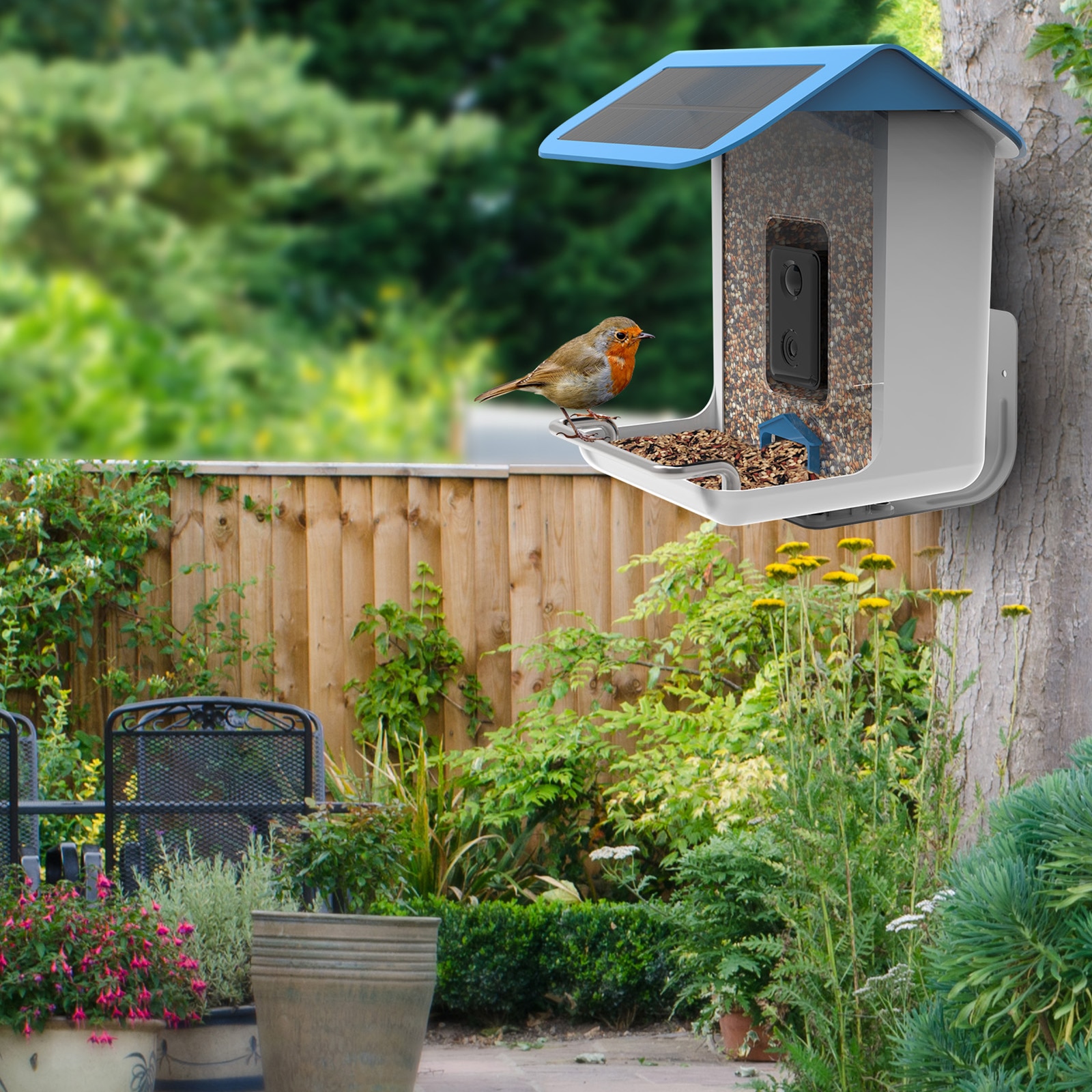 Hranitoare pentru pasari cu camera WiFi, Plastic, 980g, Alb/Albastru - eMAG.ro