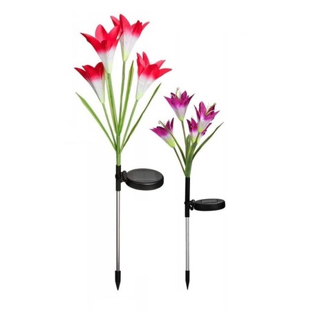 Set 2 x Lampa Solara LED, Invest, Tip Floare Crini, Pentru Gradina ...