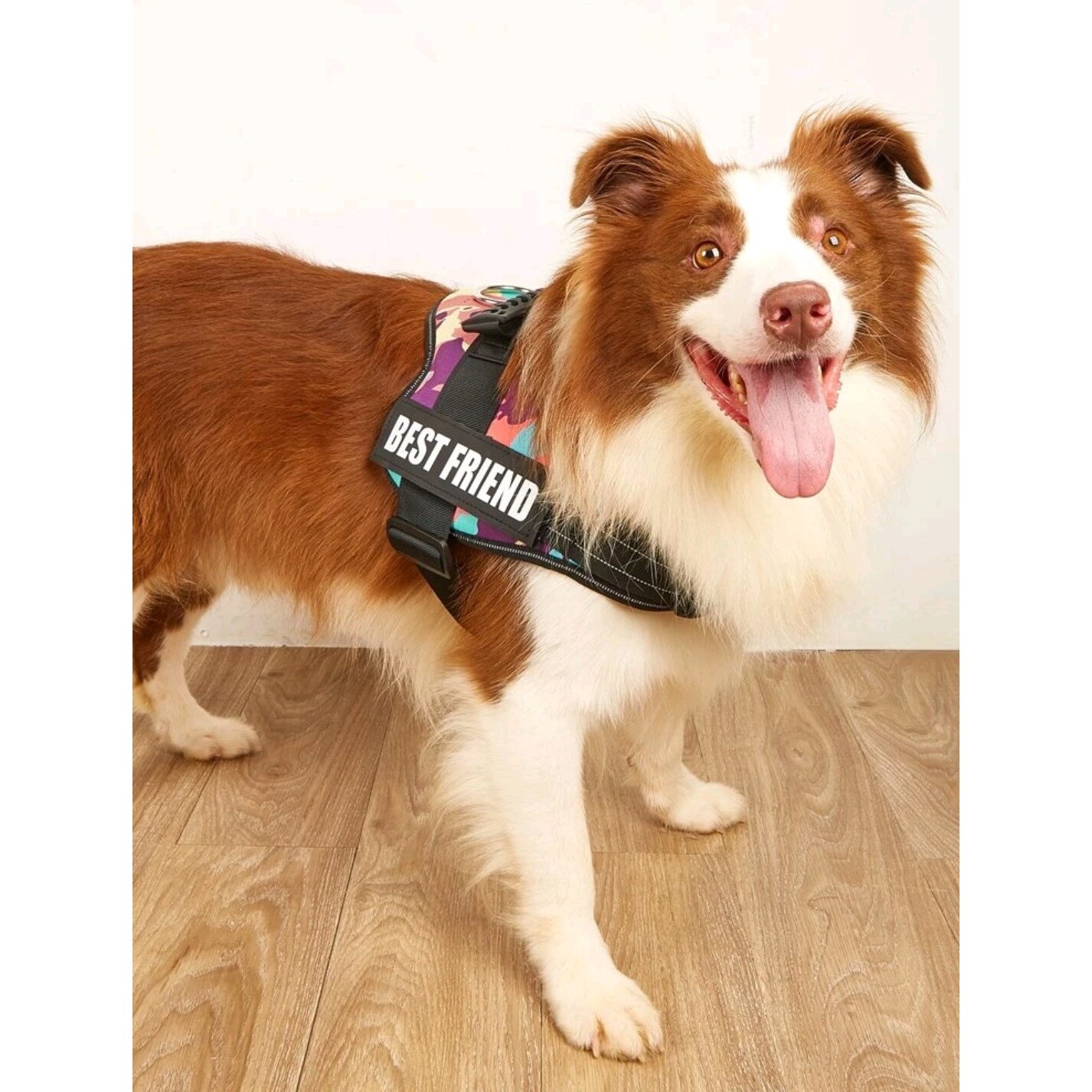 Ham pentru caini talie mare XL 40-70kg - eMAG.ro