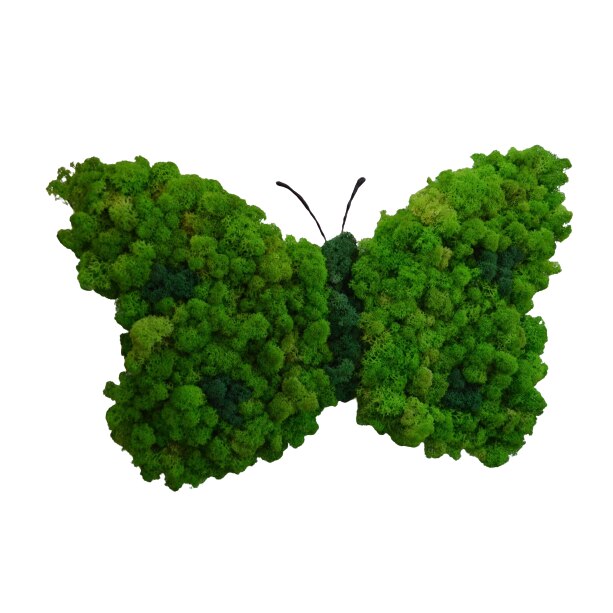 Fluture Din Licheni, 40x60cm - eMAG.ro