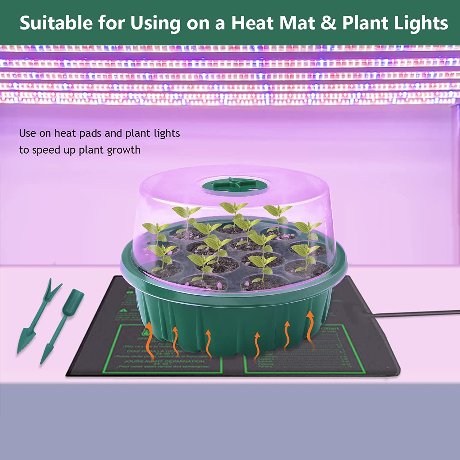 Set 5 Tavi pentru rasaduri, Plastic, Verde - eMAG.ro