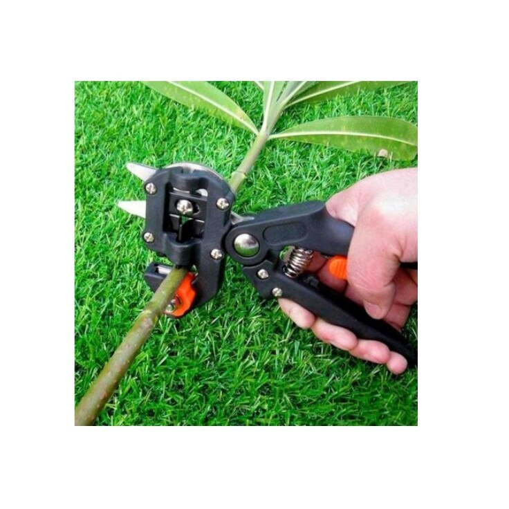 Set profesional de unelte pentru altoire din otel inoxidabil - eMAG.ro