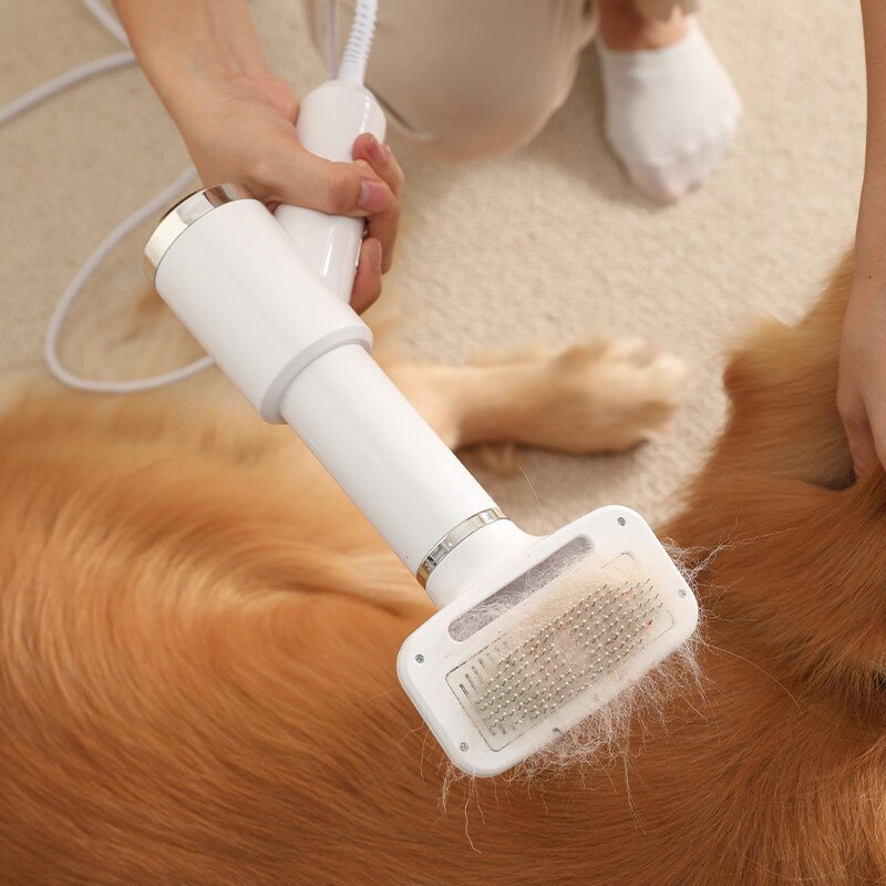 Pieptene cu aer cald pentru animale de companie, YWX, 50HZ/60HZ, Putere ...