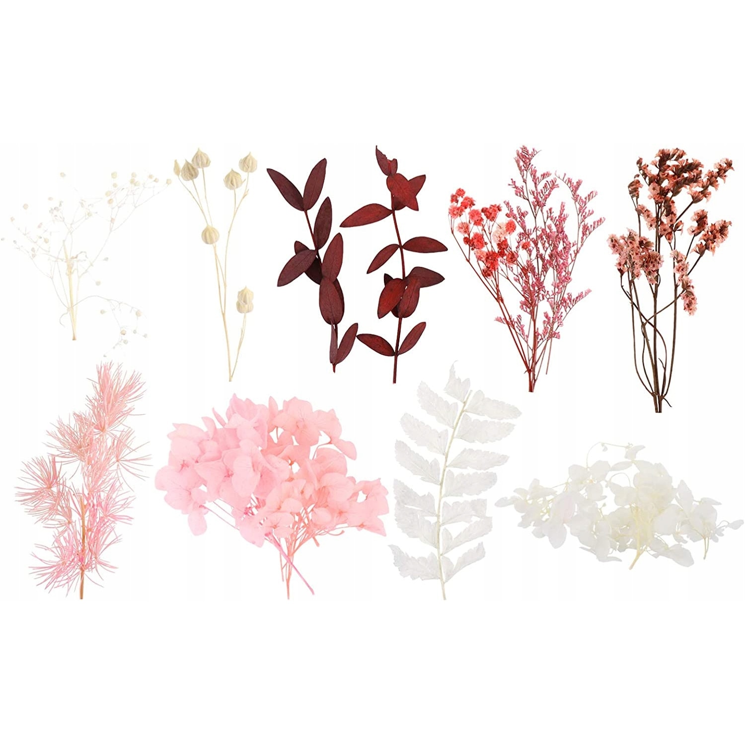 SET FLORI NATURALE USCATE PRESATE, VALICLUD, MULTICOLOR - eMAG.ro