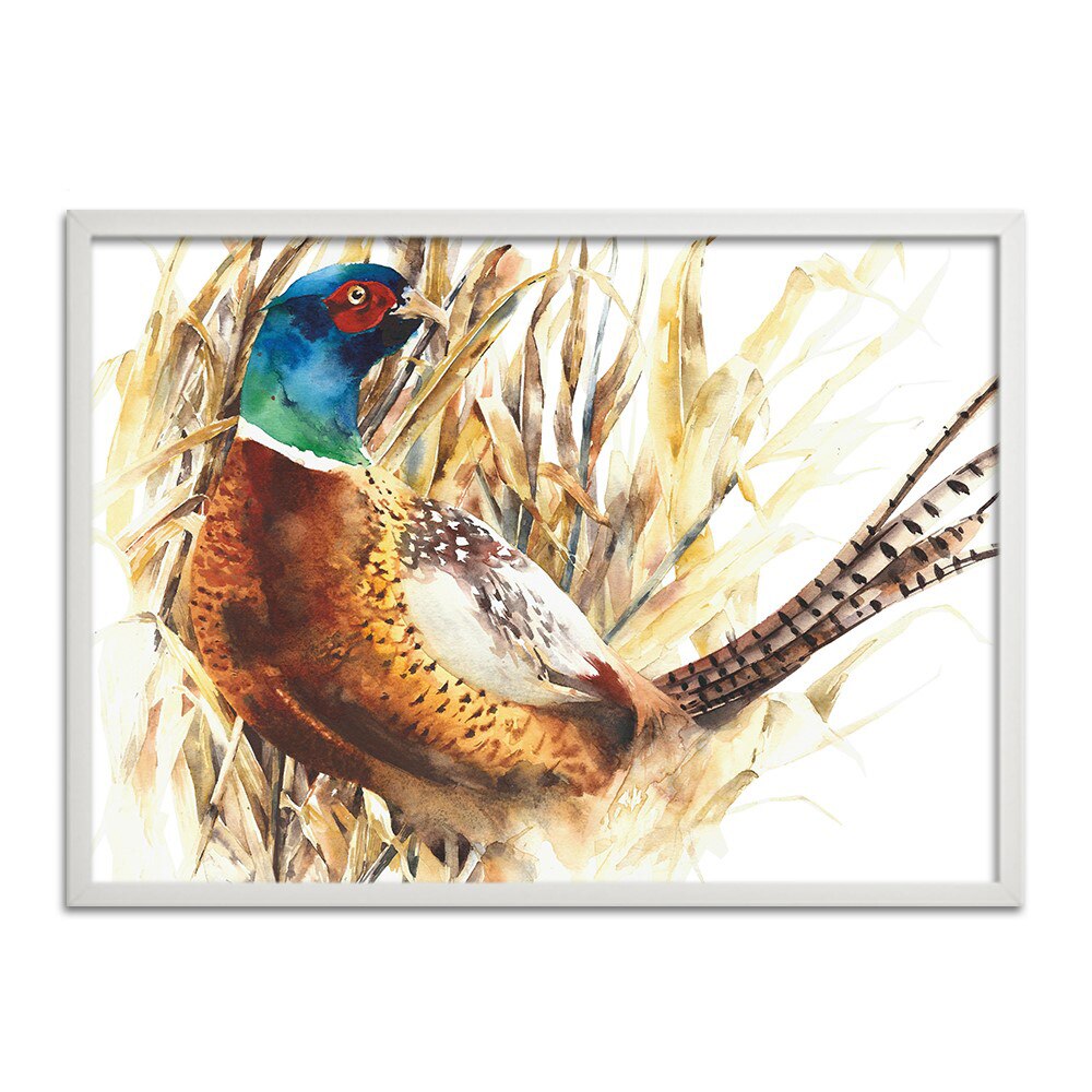 Poster - Fazan, 70x50, Lemn Alb - eMAG.ro