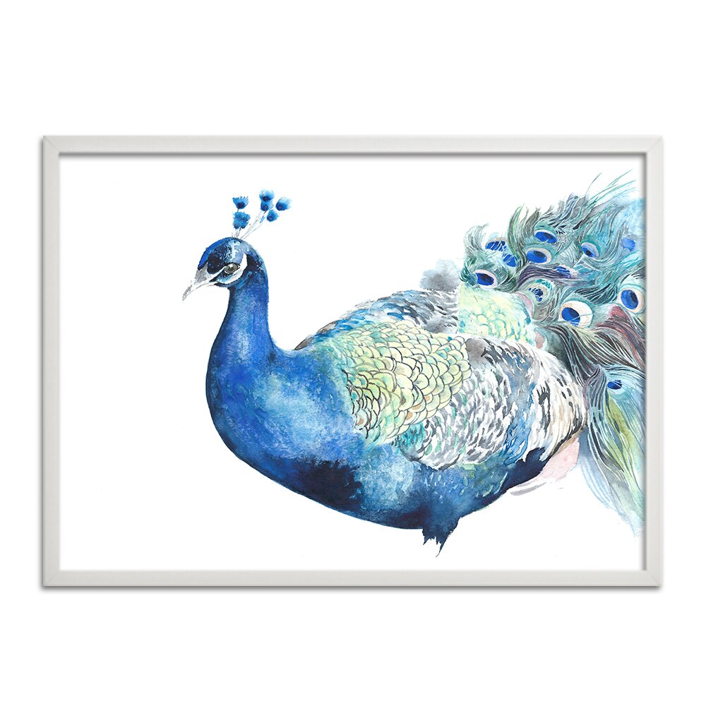 Poster - Peacock 2 50x40 Rama alba - eMAG.ro