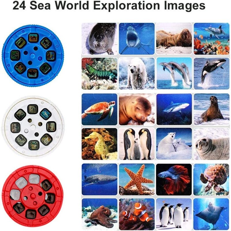 Set 2 Jucarie educativa pentru copii, lanterna cu proiector, cu ...