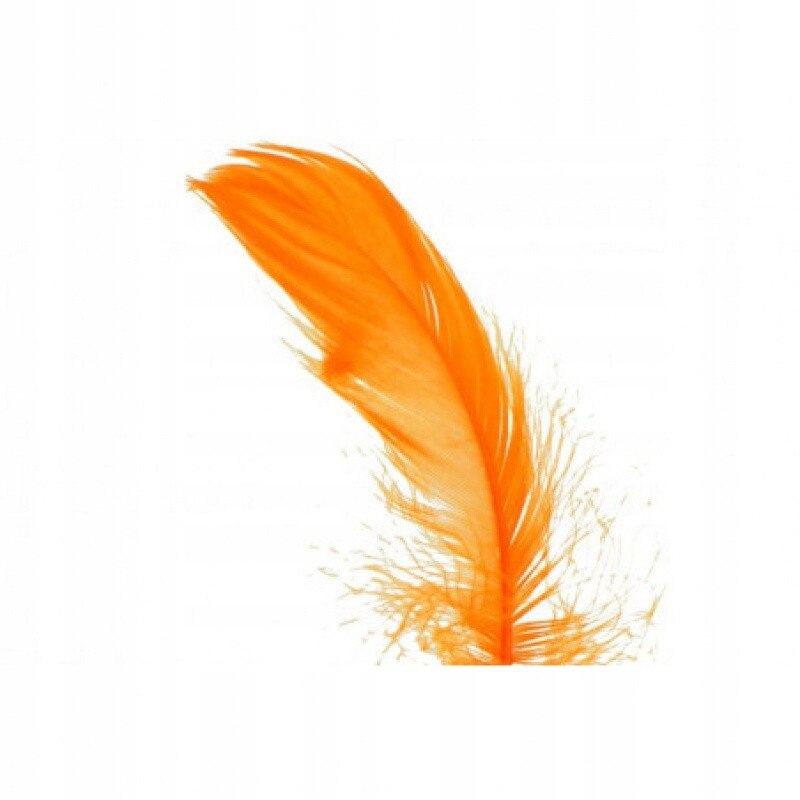 Pene portocalii decorative - eMAG.ro