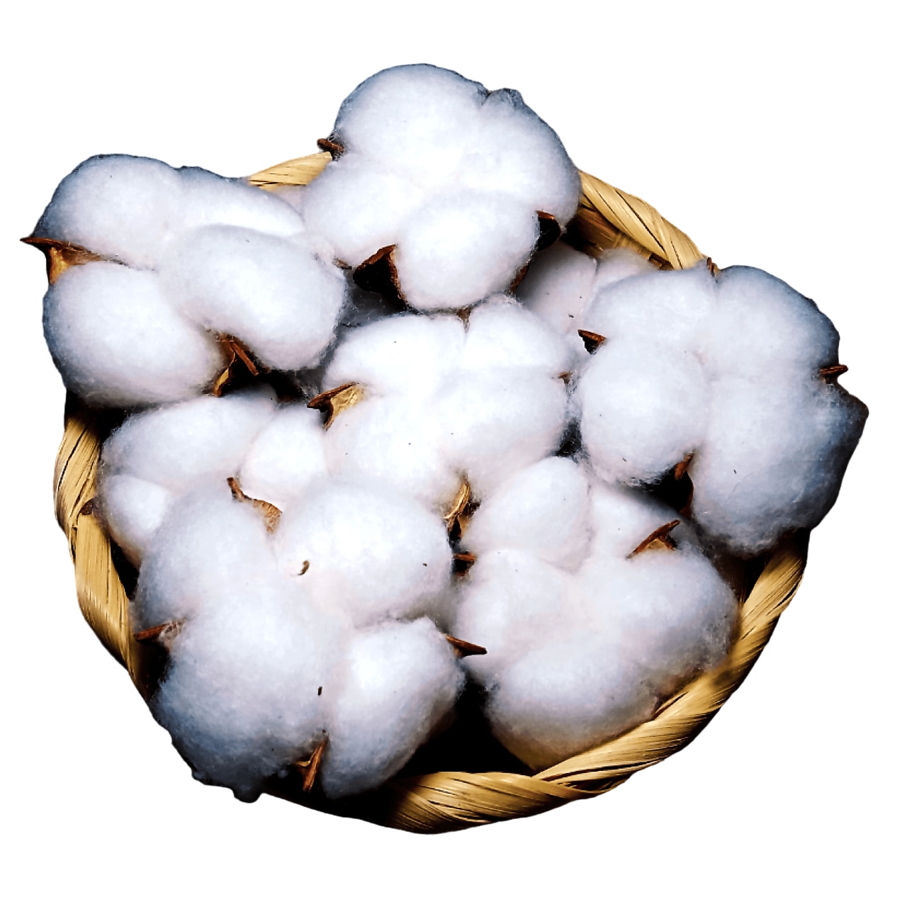 Flori de Bumbac, Din Baragan, 6 bucati - eMAG.ro