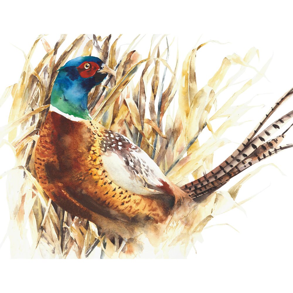Poster - Fazan 30x21 - eMAG.ro