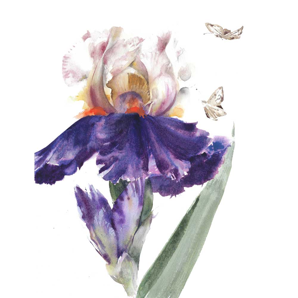 Poster - Flori Iris 30x40 - eMAG.ro