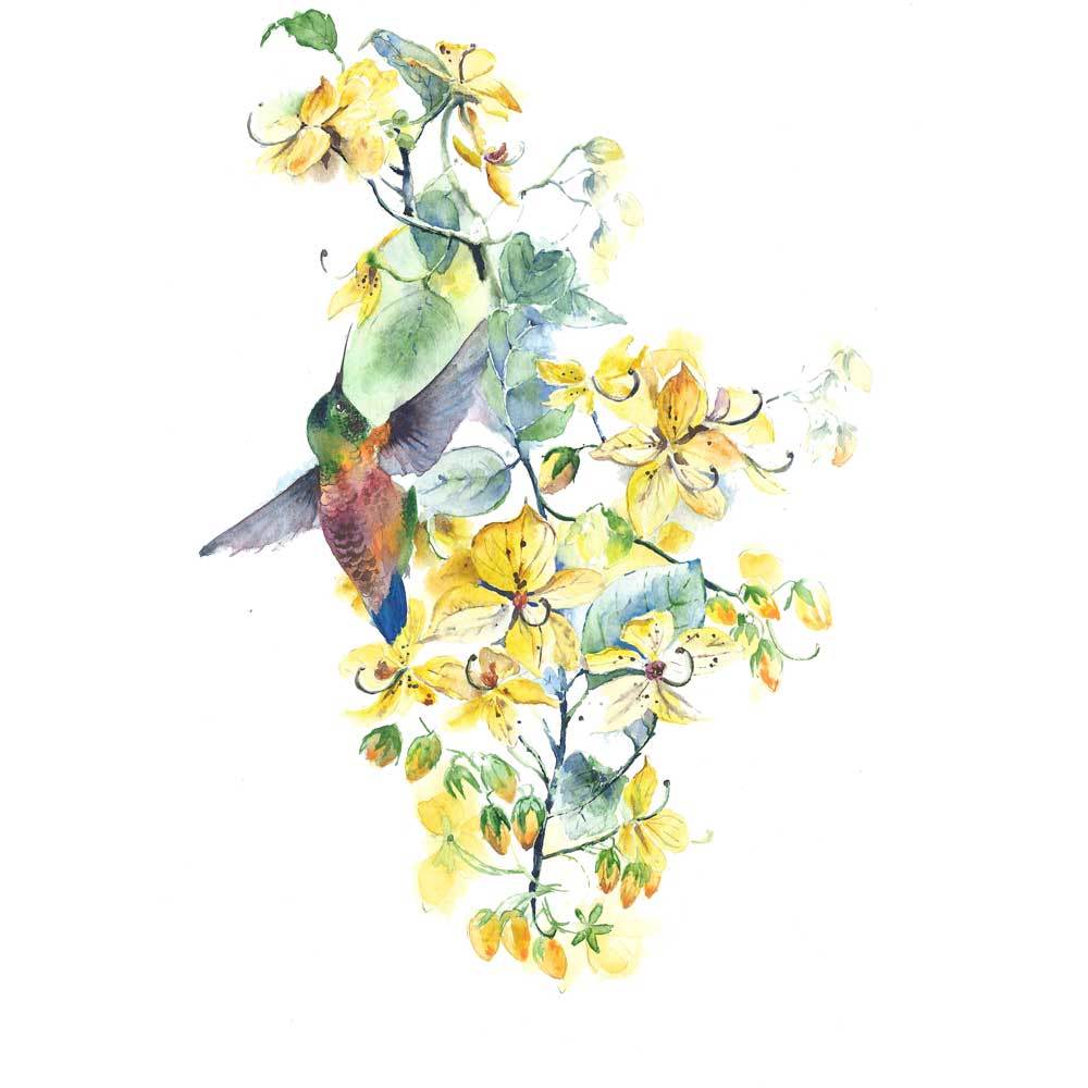 Poster - Colibri si Flori 30x40 - eMAG.ro Poster - Colibri si Flori 30x40 - eMAG.ro