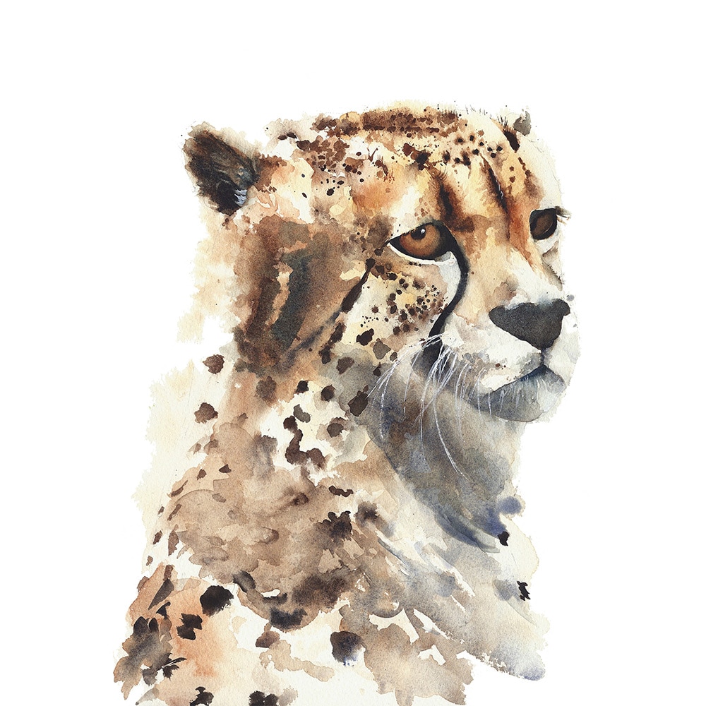 Poster, Ghepard, 30x40 - eMAG.ro