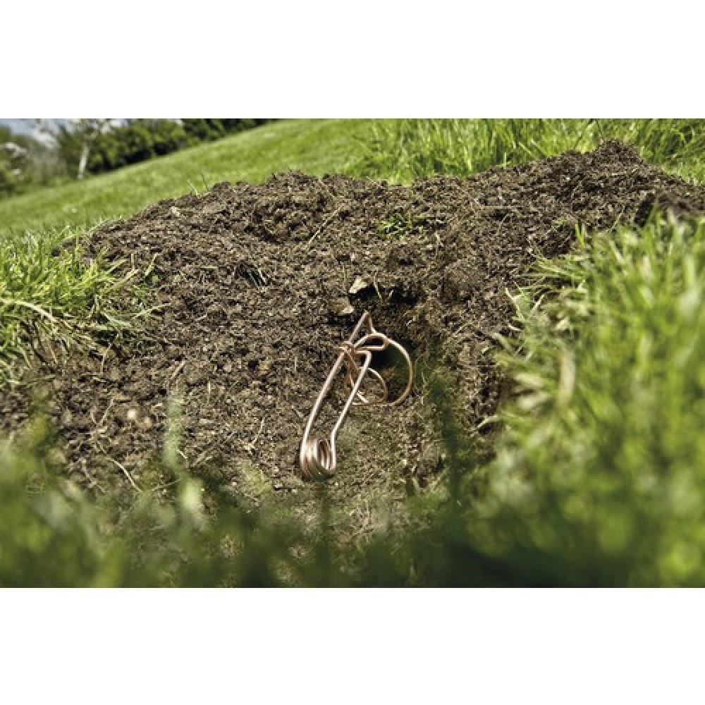 Capcana cartite CartoCatch, set 2 buc - eMAG.ro