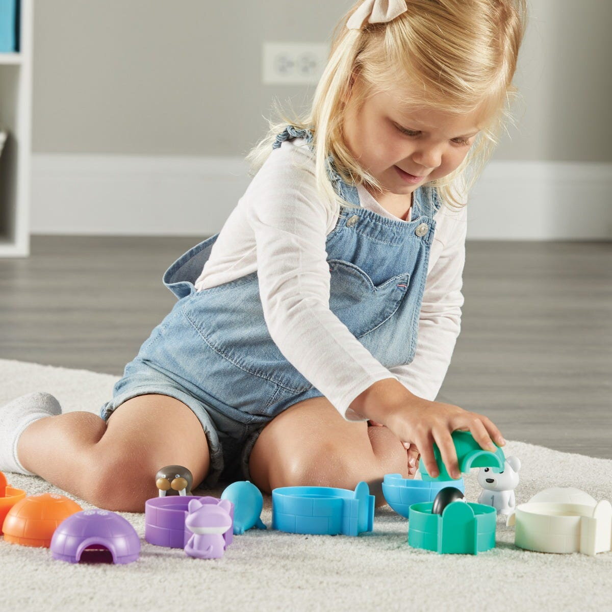 Polar Animal Sorting Game tanulási források - eMAG.hu