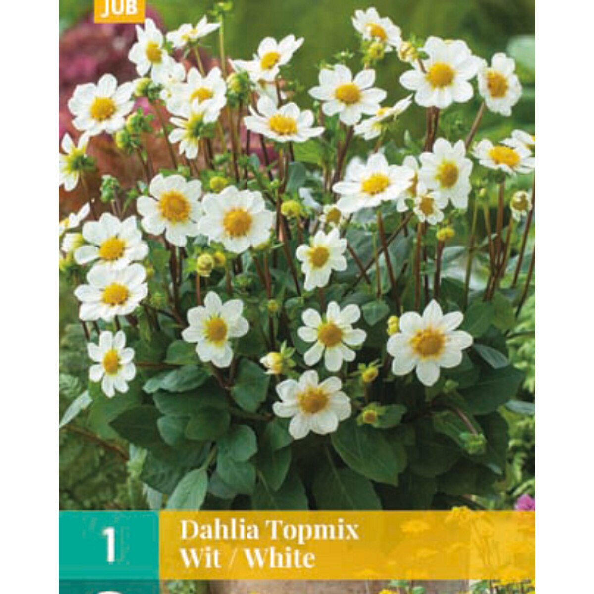 Rizom, Dalia Topmix Alb, 1 Buc, I - eMAG.ro