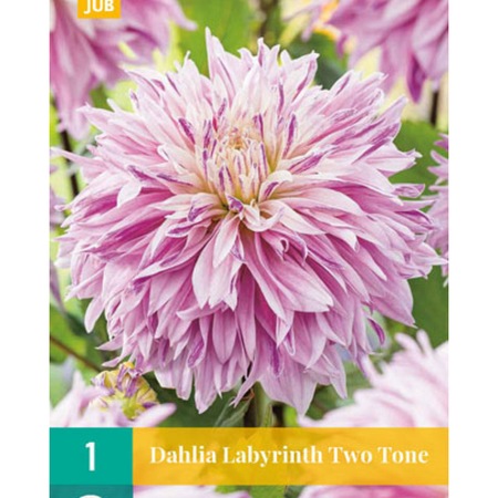 Dalia Labyrinth Twotone, 1 Buc, I - eMAG.ro