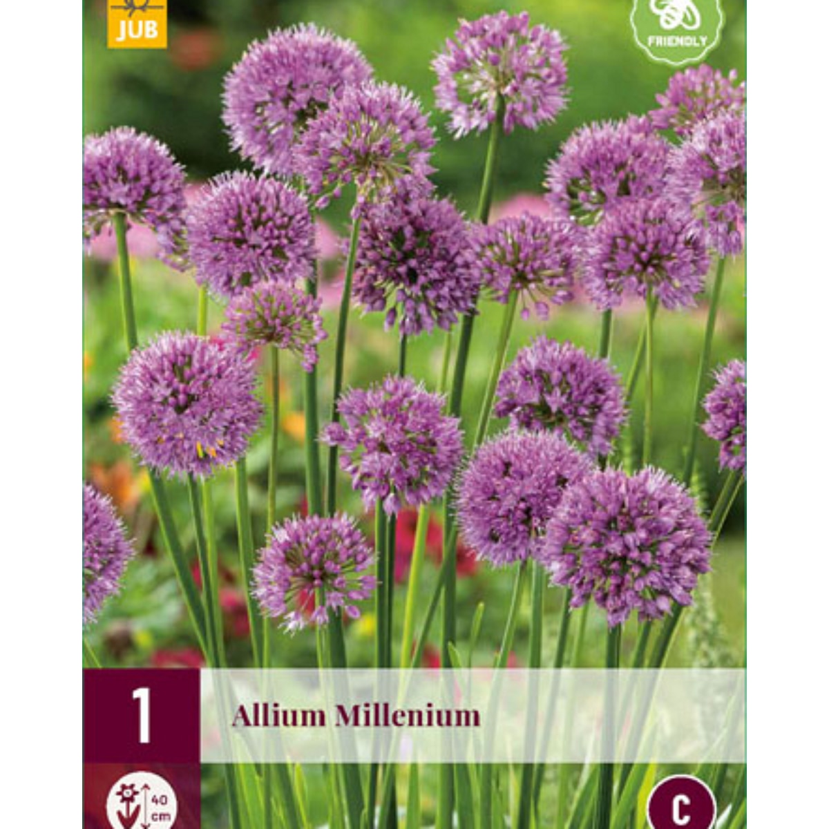Allium Millenium, 1 Buc, I - eMAG.ro