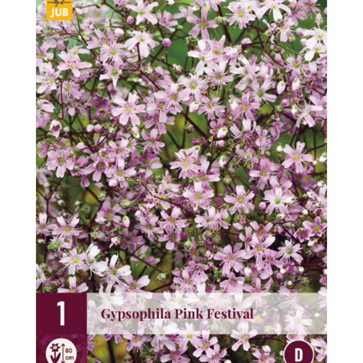 Gypsophila Pink Festival, 1 Buc, I - eMAG.ro