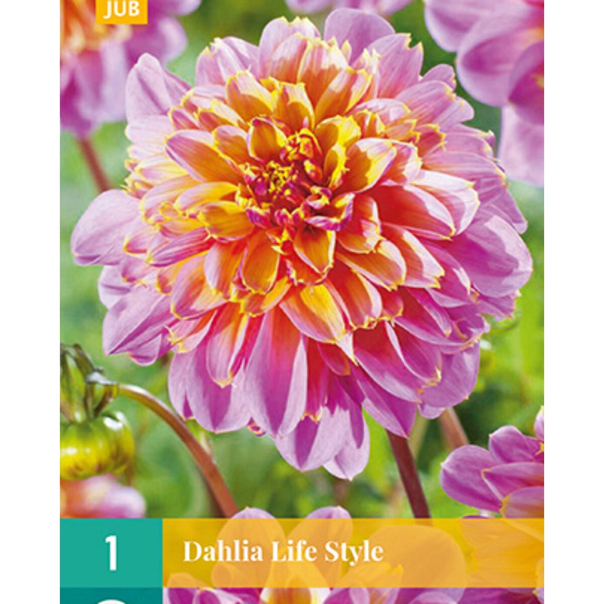 Dalia Life Style, 1 Buc, I - eMAG.ro