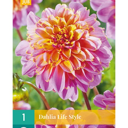 Dalia Life Style, 1 Buc, I - eMAG.ro