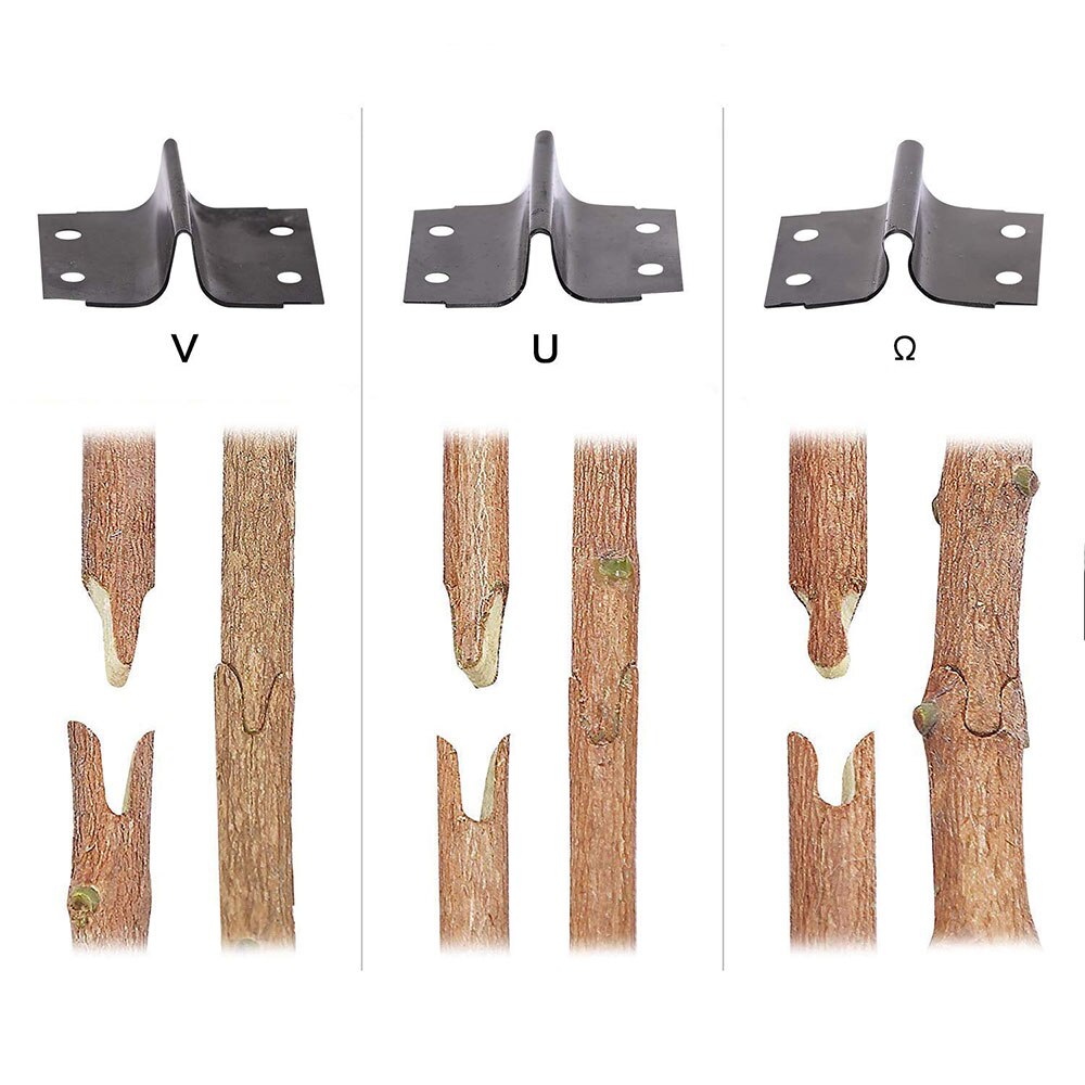 Cleste pentru Altoit EDAR, Ideal pentru Gradinarit, Plante, Pomi ...