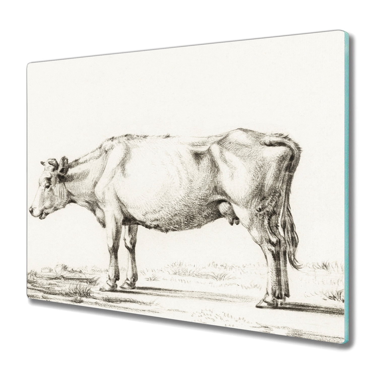 Vágódeszka, Coloray, Üveg, Négyszögletes, Rajz Állat Tehén Art ...