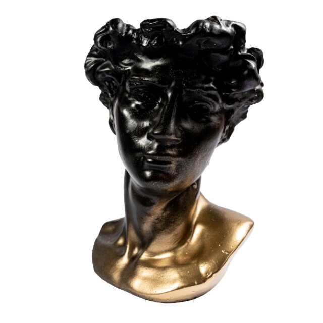 Vaza David, negru-auriu, pentru interior, 26x19x19 cm - eMAG.ro