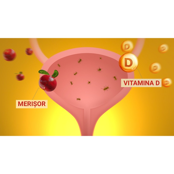 Supliment alimentar Urinal Akut recomandat pentru sanatatea cailor ...