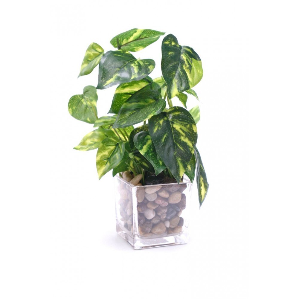 Planta artificiala in ghiveci de Sticla, Frunza 24x7 cm - eMAG.ro