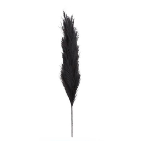 Iarba inalta de pampas, 7 buc, uscata, conservata natural, 120cm, Negru ...