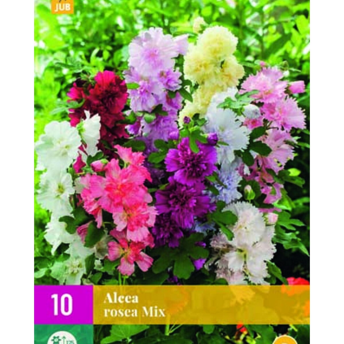 Bulbi de Alcea Rosea Mix, 10 Buc - eMAG.ro