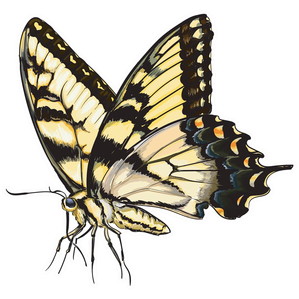 Autocolant de perete - Fluture galben - eMAG.ro