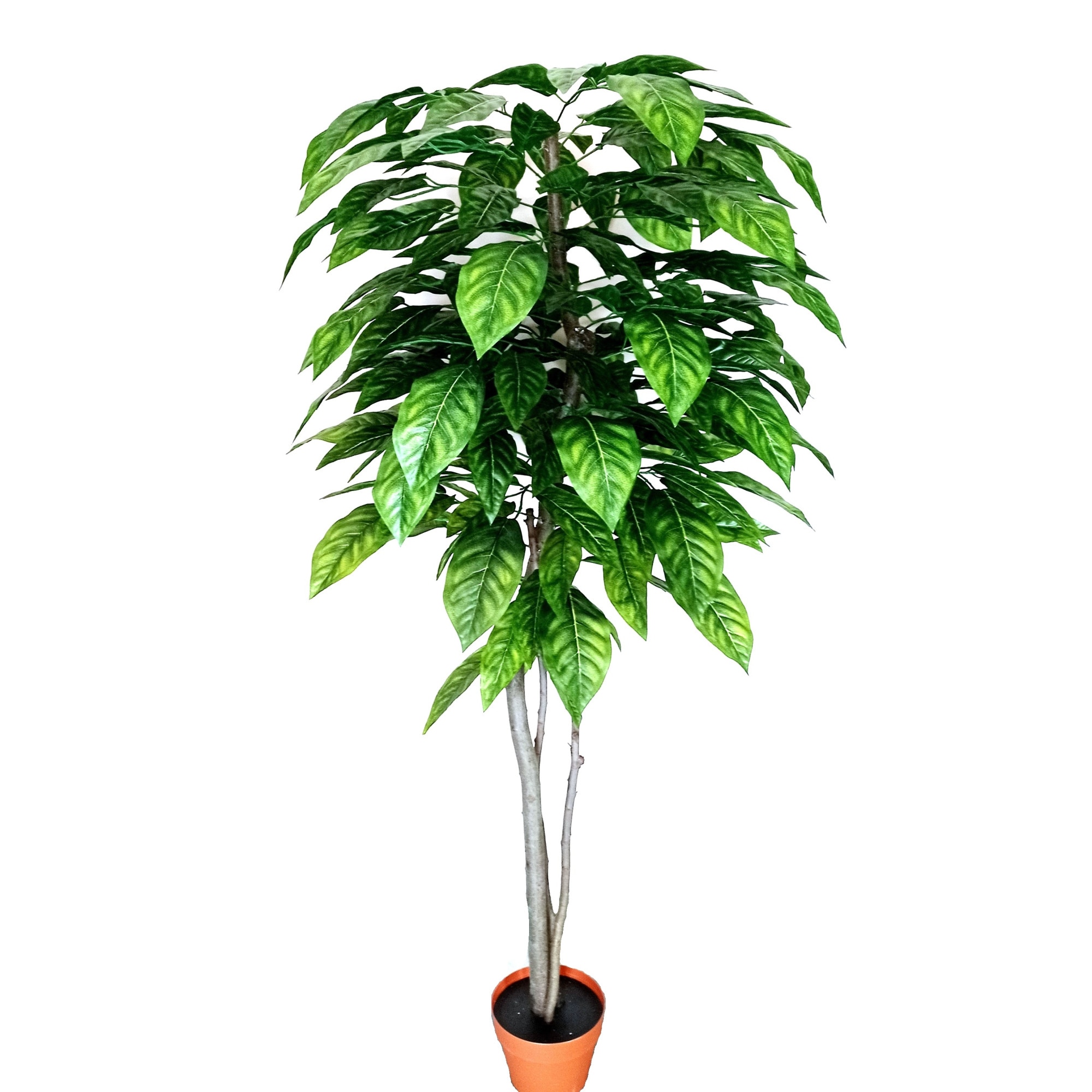 Gumifa (kaucsukfa) 150 cm, zöld - eMAG.hu