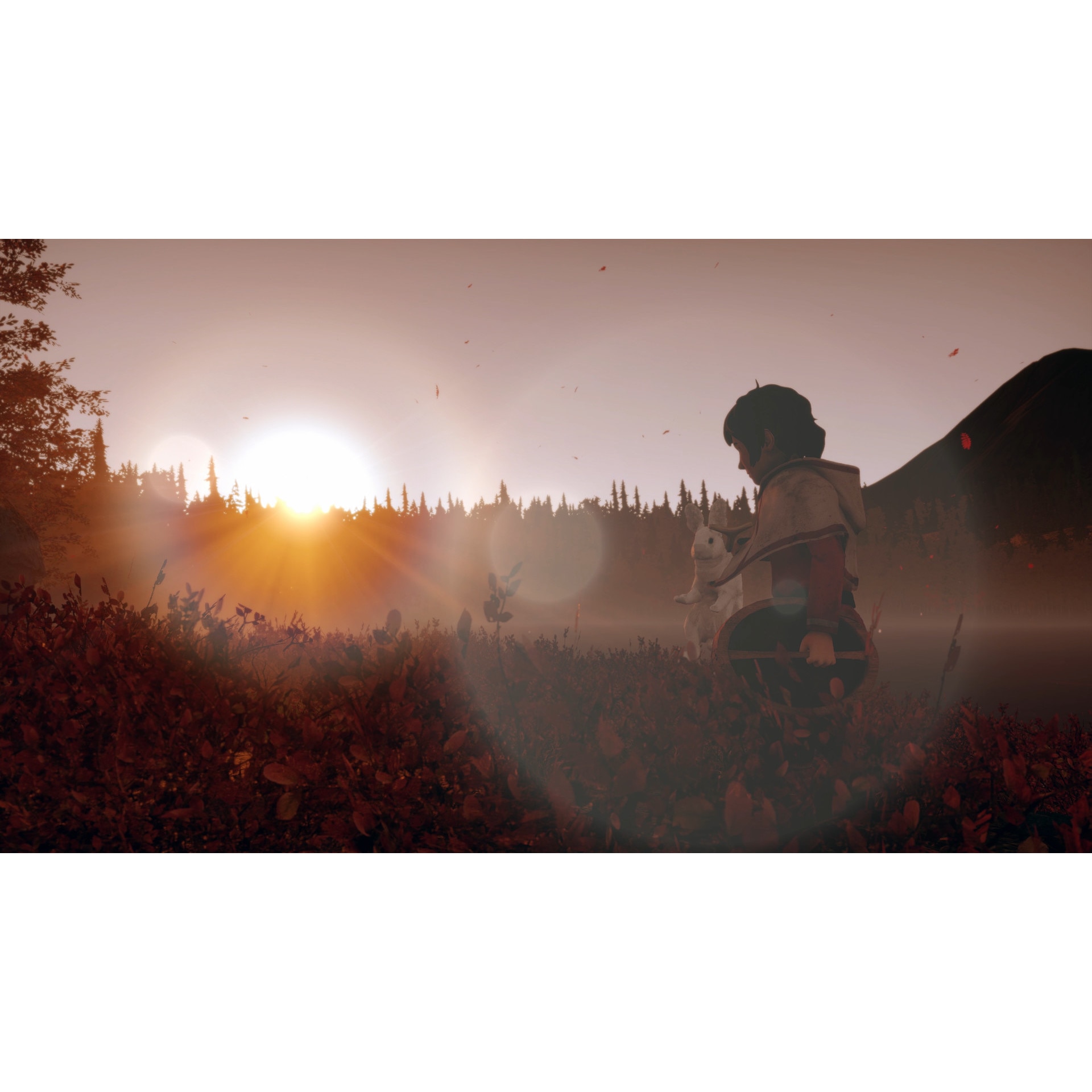 Joc Skabma Snowfall Pentru Nintendo Switch - eMAG.ro