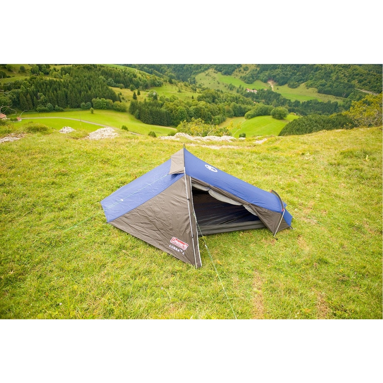 Cort Coleman Cobra 2 persoane, gri - eMAG.ro