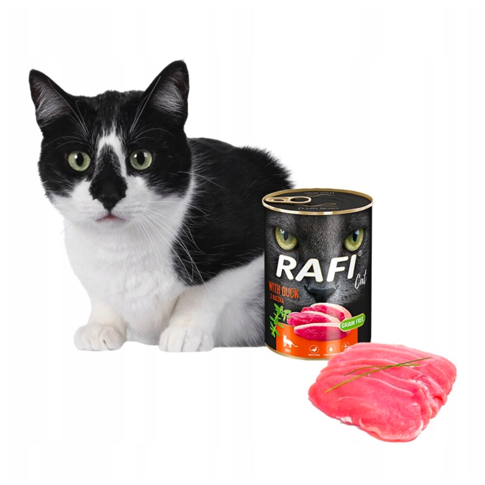 Hrana umeda pentru pisici adulte, Dolina Noteci, Rafi Karma, Aroma rata, 12x400g - eMAG.ro