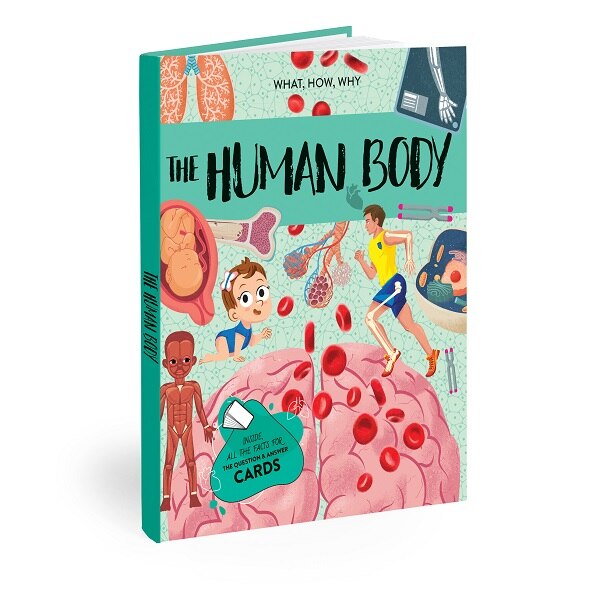 Комплект пъзел Sassi Human Body Giant, 500 части, Книга, 3D модел - eMAG.bg