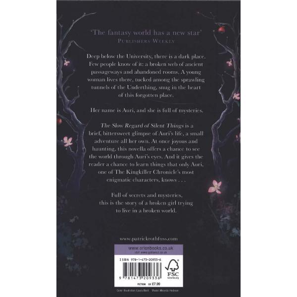 Slow Regard Of Silent Things - Patrick Rothfuss - eMAG.ro