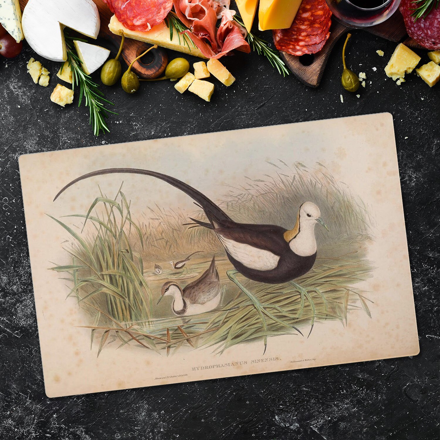 Vágódeszka, Coloray, Üveg, Négyszögletes, Madarak Vadállatok Rajz Art ...