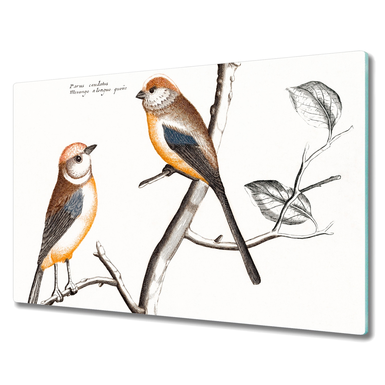 Tocator pe sticla, Dreptunghi, Desen Animal Pasare Ramura Art, Alb, 80 ...