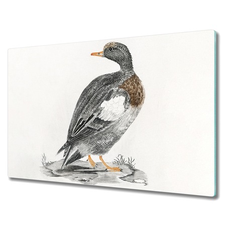 Tocator pe sticla, Dreptunghi, Desen Animale Pasare Rata Arta, Alb, 80 ...